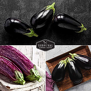 Survival Garden Seeds Eggplant Collection Seed Vault - Long Purple Italian Eggplant and Black Beauty Bell Shaped Eggplant for Your Homestead or Vegetable Garden - Non-GMO Heirloom Seeds for Planting