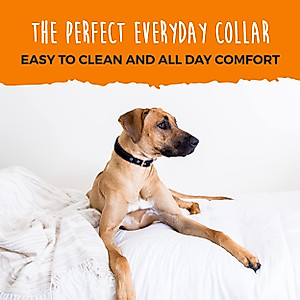 Mighty Paw Dog Collar - Padded Comfort - Neoprene Lining - High Visibility Reflective Threading - Weatherproof Nylon - Buckle Adjustable Dog Collar - Comfortable Dog Collar for All Dog Breeds