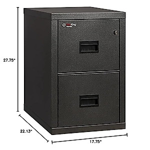 Fire Resistant File Cabinet - 2 Drawer Let/Leg. 22" Depth Black