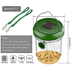 KENW Wasp Trap, 2 Pack Wasp Traps Outdoor Hanging, Solar-Powered Yellow Jacket Trap, Bee Traps for Outside, Hornet Trap, Wasp Killer, Effective Hornet Traps Outdoor Hanging, Bee Catchers for Outside