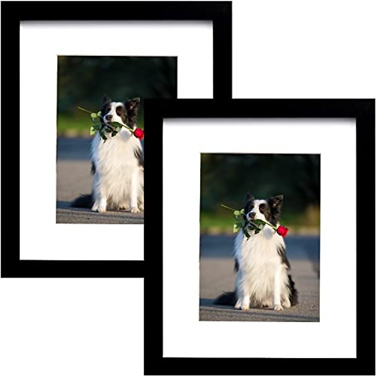 PEALSN 11x14 Picture Frame Set of 2, Made of High Definition Real Glass, Display 8x10 with Mat or 11 x 14 Without Mat, Photo Frames for Wall Mounting or Table Top Display, Black