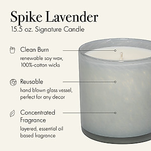 LAFCO New York Signature Candle, Spike Lavender - 15.5 oz - 90-Hour Burn Time - Reusable, Hand Blown Glass Vessel - Made in The USA