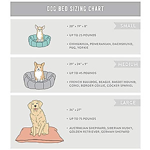 Fringe Studio Pet Bed, Desert Flower Pillow, 36 x 27 x 5 inches (225004),Large