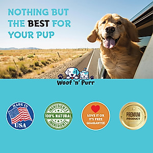 Dog Multivitamin - Multivitamin for Dogs - Helps to Support a Healthier Life - Dog Vitamins and Supplements - Dog Vitamins Multivitamin - Dog Supplements & Vitamins - 1 fl oz - Bacon Flavor