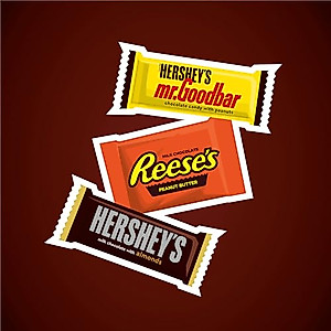 HERSHEY'S and REESE'S Assorted Chocolate Flavored Snack Size, Candy Party Pack, 31.5 oz