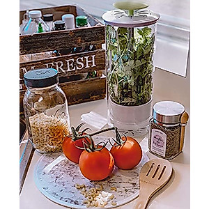 NOVART XXL Herb Keeper and Herb Saver – Glass Storage Container for Cilantro, Mint, Parsley, Asparagus, Keeps Greens Fresh for 2-3 Weeks