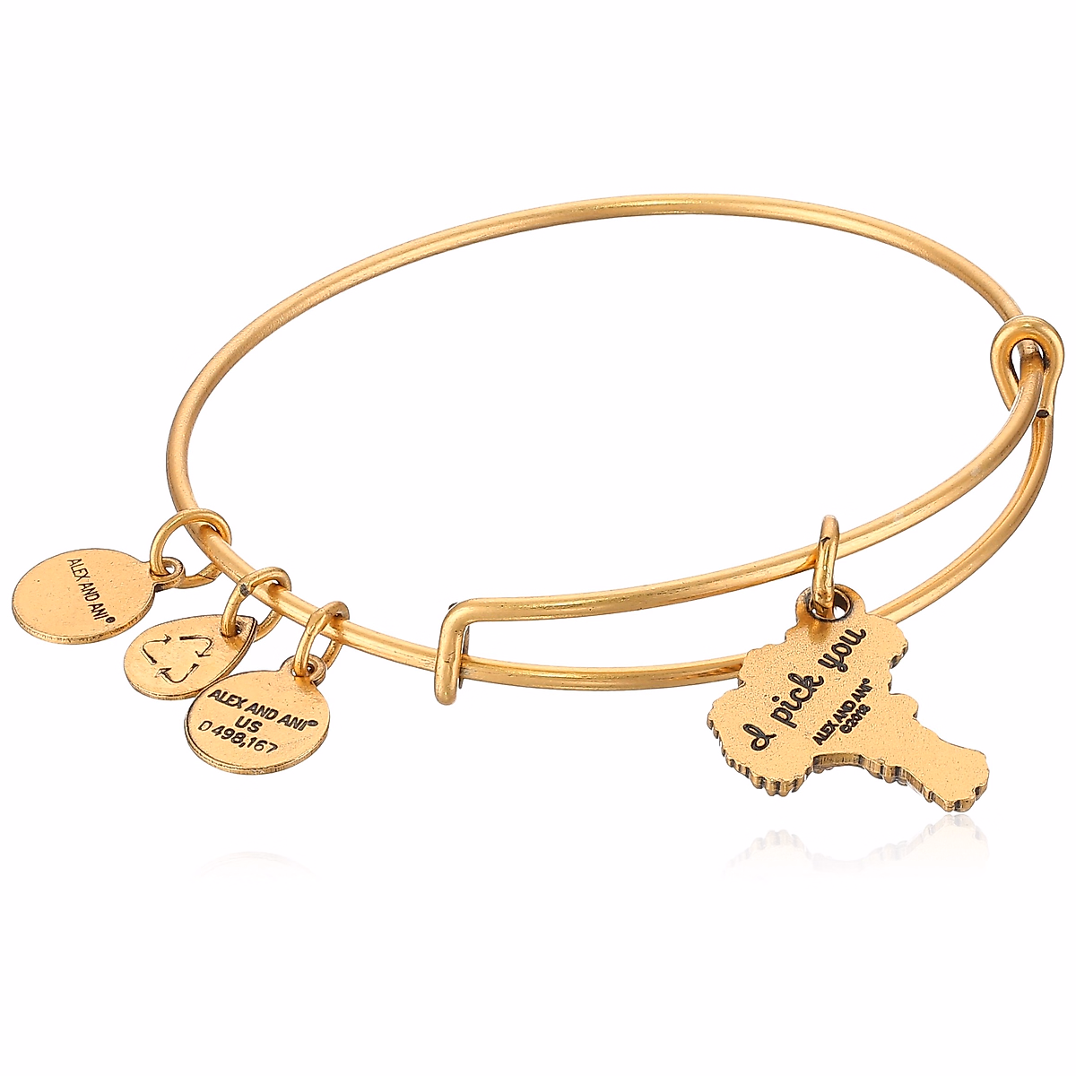 Alex and Ani Womens I Pick You EWB Bangle Bracelet, Rafaelian Gold, Expandable