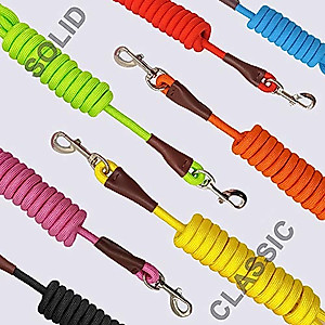 MayPaw 4FT/6FT/8FT/10FT Dog Leash, Classic Solid Colors, Durable Mountain Climbing Rope Dog Leash Reinforced with Leather Tailor Connection Heavy Duty Silver Clasp, 6 Foot Dog Leash Black