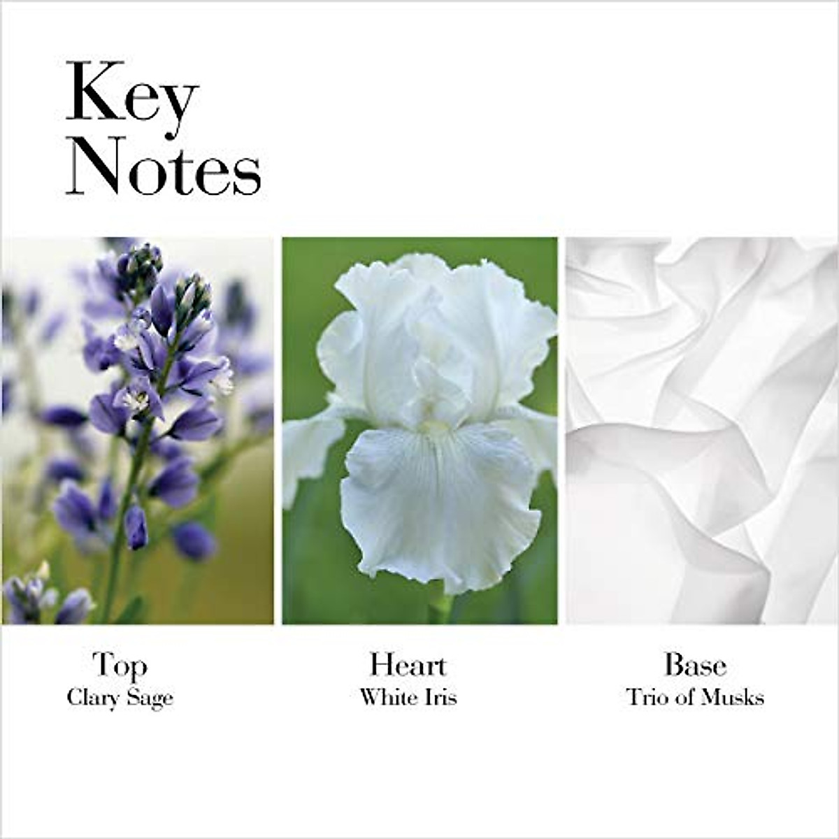 White Tea by Elizabeth Arden, Women's Perfume, Eau de Toilette Spray, 1 Fl Oz