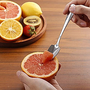Grapefruit Spoons and Grapefruit Knife, Set of 7 Food Grade Stainless Steel Dessert Spoons Mirror Finish Fruit Knife, Serrated Grapefruit Utensils Tool, Suitable for Citrus Fruits Desserts Salads