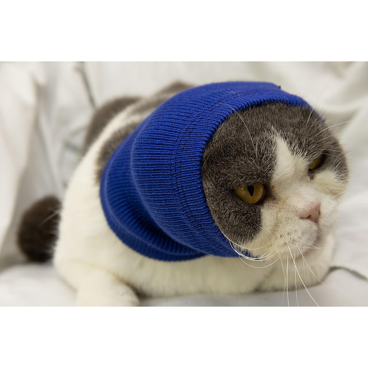 DDFS 2 Pack Cat No Flap Ear Wrap, Hoodie Anxiety Pet Earmuffs No Flap Ear Wrap Cat Small in Bath - Blue+Grey S