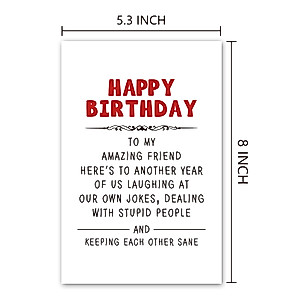 Happy Birthday Friend, Funny Birthday Card for Friend, Best Friend Birthday, BFF Card