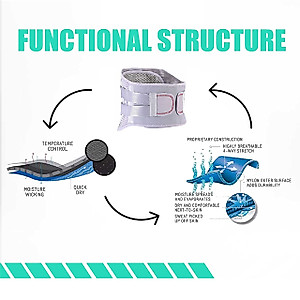 Back Protector Belt Back Support Belt by - Relief for Back Pain, Herniated Disc, Sciatica, Scoliosis and more! - Breathable Mesh Design with Lumbar Pad - Adjustable Support Straps - Lower Back Brace (