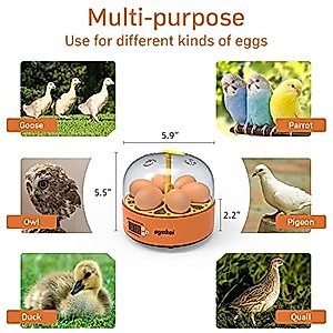 ayakol Small 6 Egg Incubator with External Lever Egg Turner,Temperature Control, Humidity Control, Led Candler, Hatcher for Chicken Duck Pigeon Quail Parrot，360 Degree View…