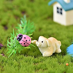 DOITOOL 9pcs Miniature Dog Figurines Resin Puppy Figure Cute Dog Cake Topper Cartoon Animal Statue Bonsai Figure Fairy Garden Ornament Accessories Car Dashboard Decoration Gift