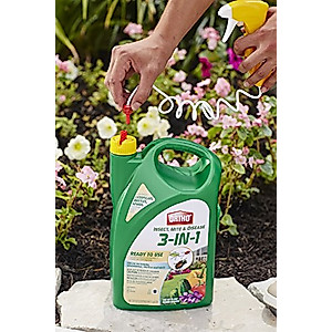 Ortho Insect Mite & Disease 3-in-1 Ready-To-Use, 1 gal.