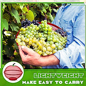 2 Pieces Apple Shaped Fruit Basket Red Metal Wire Mesh Holder Covered Fruit Bowl for Kitchen Counter Mesh Fruit Holder Fruits Storage Drain Basket Apple Basket Food Strainers for Banana Vegetables