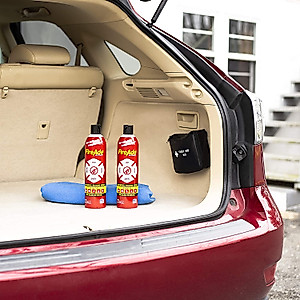 FireAde Personal Firefighting Extinguisher Foam Aerosol for Outdoor and Indoor Use, 16 Ounces