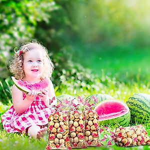 Zonon 100 Pieces Watermelon Treat Bags cellophane bags watermelon party bags Plastic Candy Bag Pink with 100 Silver Twist Ties for Summer Beach Watermelon Birthday Party Baby Shower Supplies