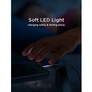 LISEN 3.2A USB C Cable Fast Charger [2 Pack/6.6FT], USB A to USB C Charger Cable Fast Charging Cord with LED Light and Rubber-Sleeved SR Compatible with Samsung Galaxy S20/S10/S9/Note 10/9