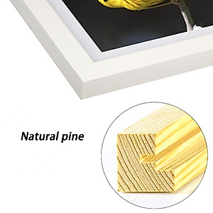 WKDP 12x16inch Diamond Painting Picture Frame 30x40cm Diamond Art frames ,Display Pictures 10x14 inch With Mat or 12x16 Without Mat, Wall Hanging Decoration Poster Frame Photo Frame Cross Stitch