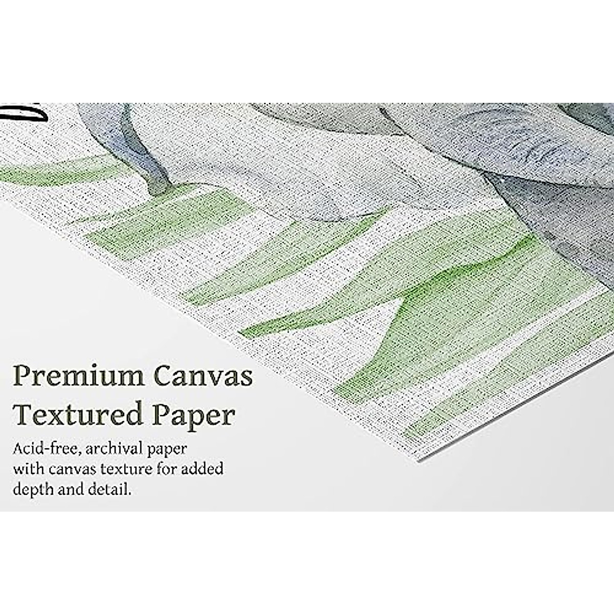 Baby Safari Animals Wall Art Prints - Nursery Decor - Set of 6-11x14 - Unframed - Watercolor