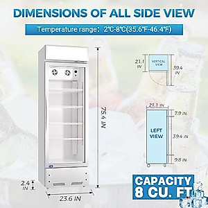 HIPOPLLER Refrigeration Glass 1 Door Upright Display Beverage Cooler Merchandiser with LED Lighting; 10.9 Cubic Ft., Silver