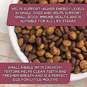 Rachael Ray Nutrish Little Bites Dry Dog Food, Chicken & Veggies Recipe for Small Breeds, 14 Pounds