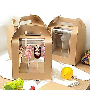 Vowcarol Portable Cake Pop Holder Boxes Cake Pop Display Stand with Cover Candy Apple Boxes with Hole Cake Pop- Packaging - 6 Packs