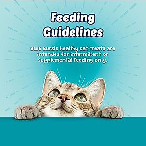 Blue Buffalo Bursts Crunchy & Creamy Cat Treats, Great for Training, Savory Seafood, 12-oz Tub