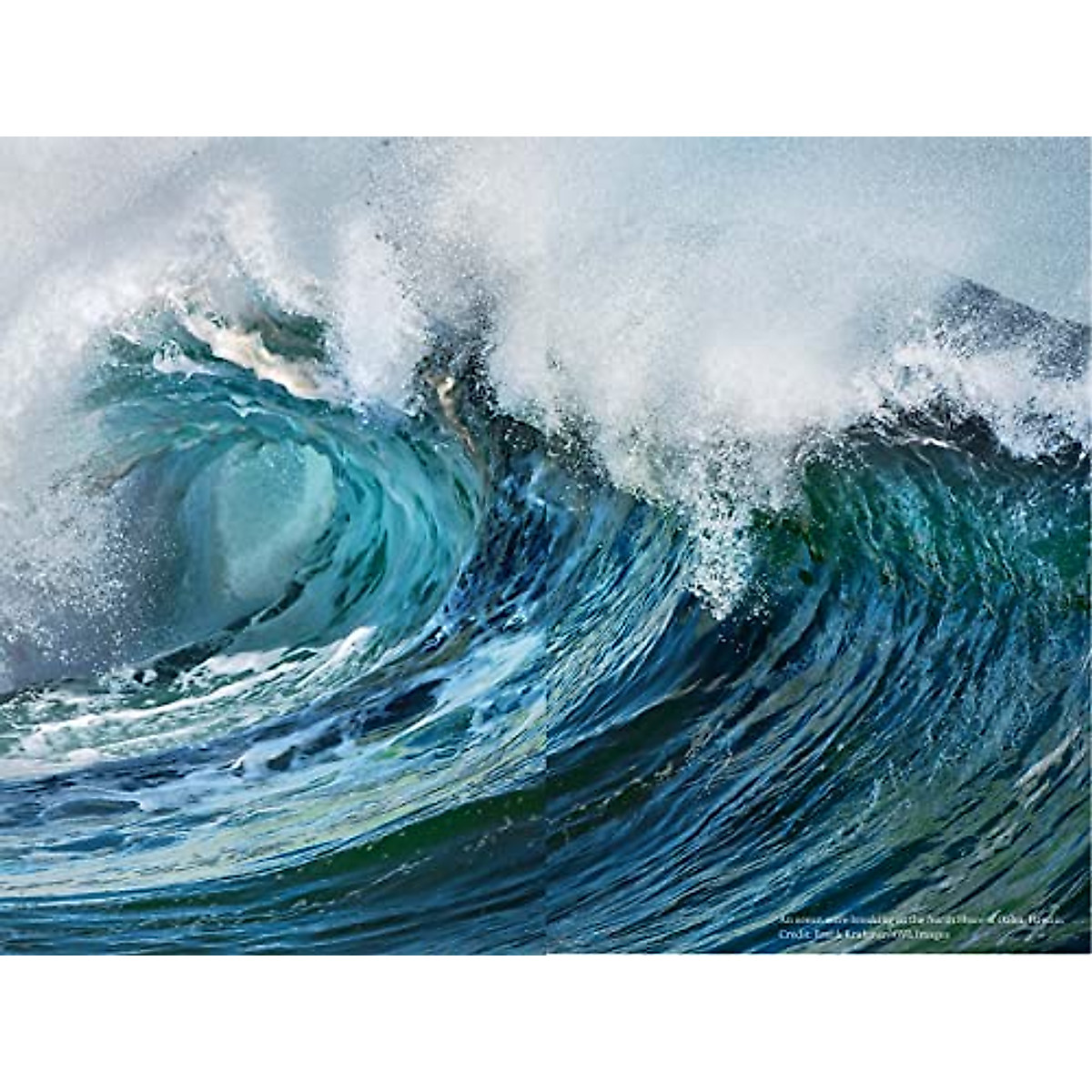 Audubon Engagement Calendar 2023: A Tribute to the Wilderness and its Spectacular Landscapes