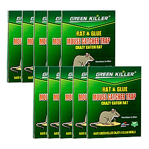 10-Pack Large Mouse Glue Traps with Enhanced Stickiness, Rat Snake Sticky Pad Board for House Indoor Outdoor, Easy to Set, Extra Large