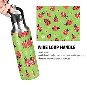 xigua Ladybug Water Bottle Double Walled Stainless Steel Leak Proof Thermo Flask for Sports Gym Cycling Outdoor,20 oz.