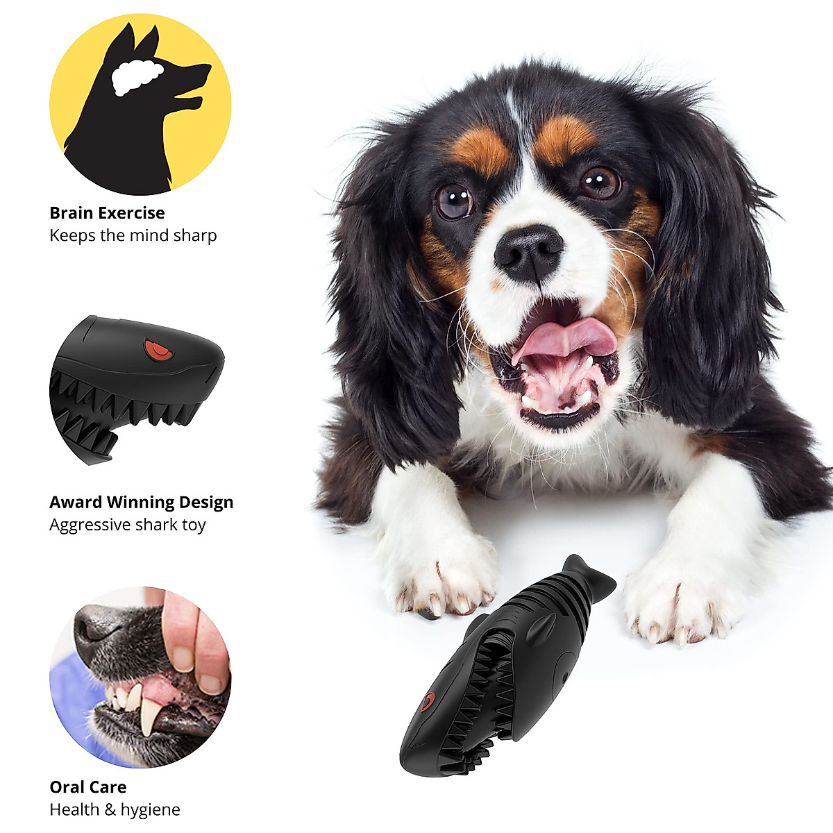 Dog Toys, Squeaky Dog Chew Toy - Tough & Durable Natural Rubber Dog Toy & Toothbrush for Pet Dental Care & Healthy Gums