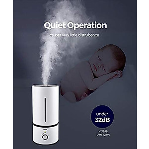 raydrop Cool Mist Humidifiers for Home Babies, 1.70 L Quiet and Small Ultrasonic Humidifier for Bedroom Nightstand, Space Saving, Auto Shut Off - (0.45 Gallon, US 110 V)