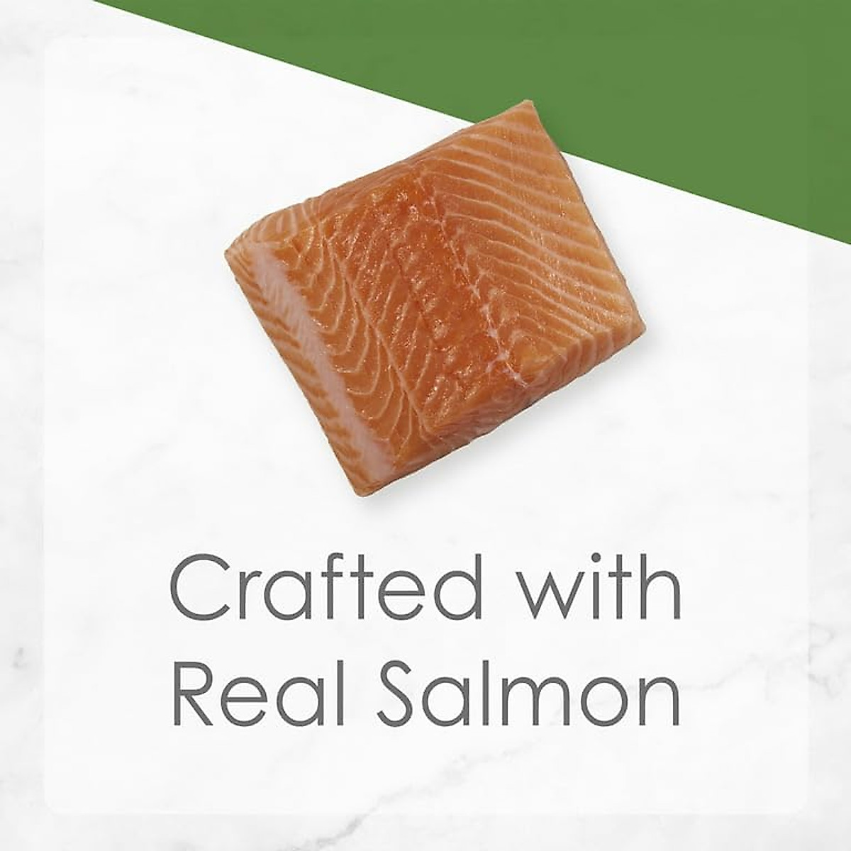 LAIBY Fancy Feast Wet Cat Food | Gravy Lovers Salmon Feast in Seared Salmon Flavor Gravy | Fancy Feast Kitten Wet Food | 3 Oz Can (Pack of 12)