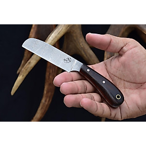 Knives Ranch Damascus Steel Small Castrator with Indian Rosewood Handle Dual Carry Vertical or Horizontal Cowboy Crossdraw Leather Sheath (3177-IRW)