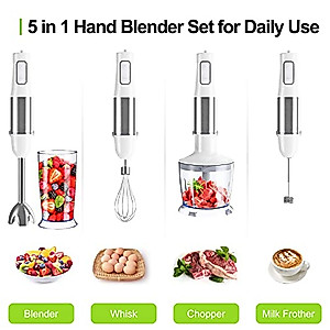 Immersion Blender Handheld, 5 in 1 Multi-purpose Hand Blender Electric 500W 6-Speed with Turbo Mode, Stick Blender with 500ml Food Chopper, 600ml Beaker, Stainless Steel Egg Whisk, Milk Frother (5 in 1)