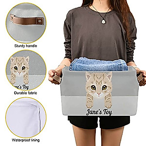 Custom Cat Toy Bin Box Collapsible Storage Cube with Handles Personalized Puppy Supplies