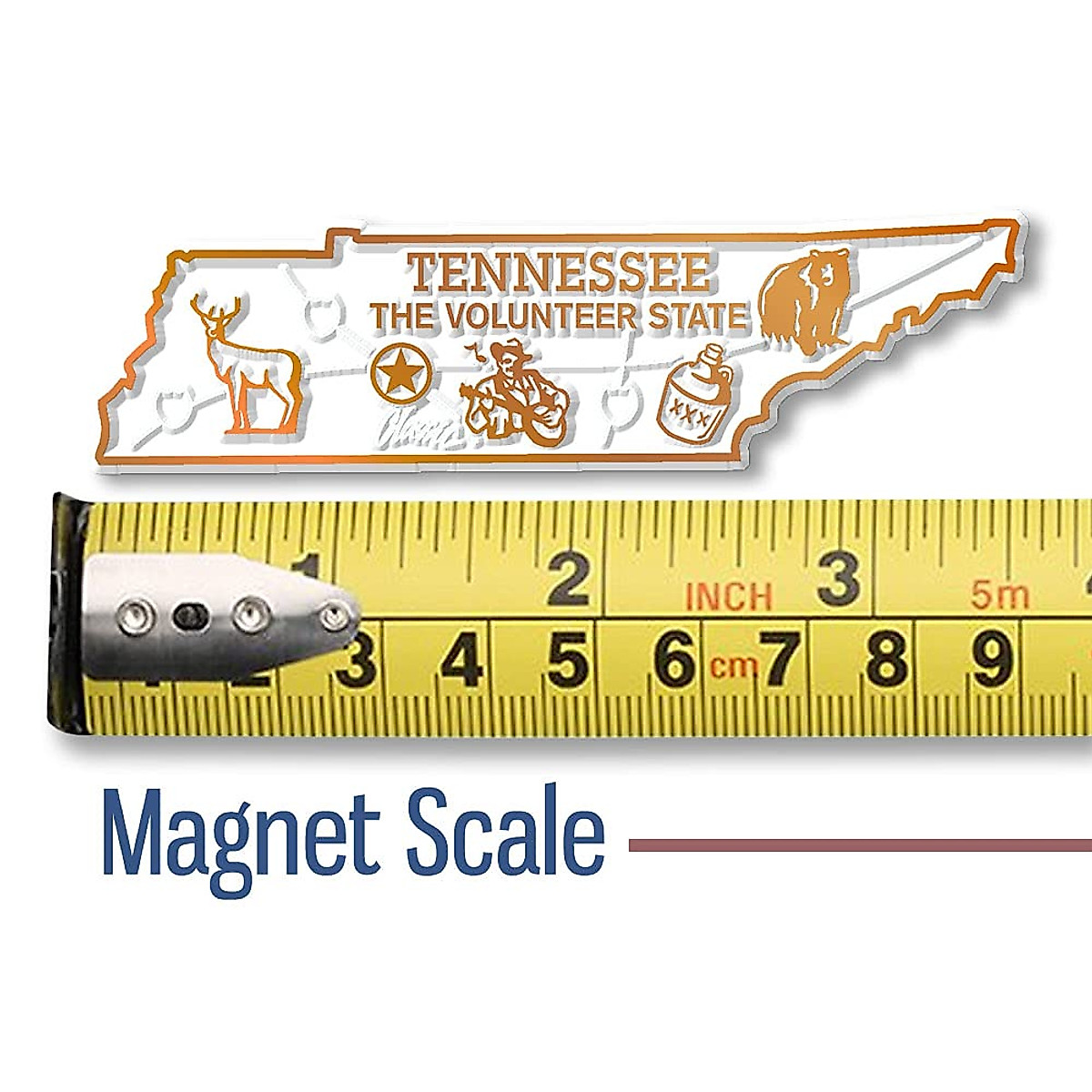 Tennessee Small State Magnet by Classic Magnets, 3.5" x 1", Collectible Souvenirs Made in The USA