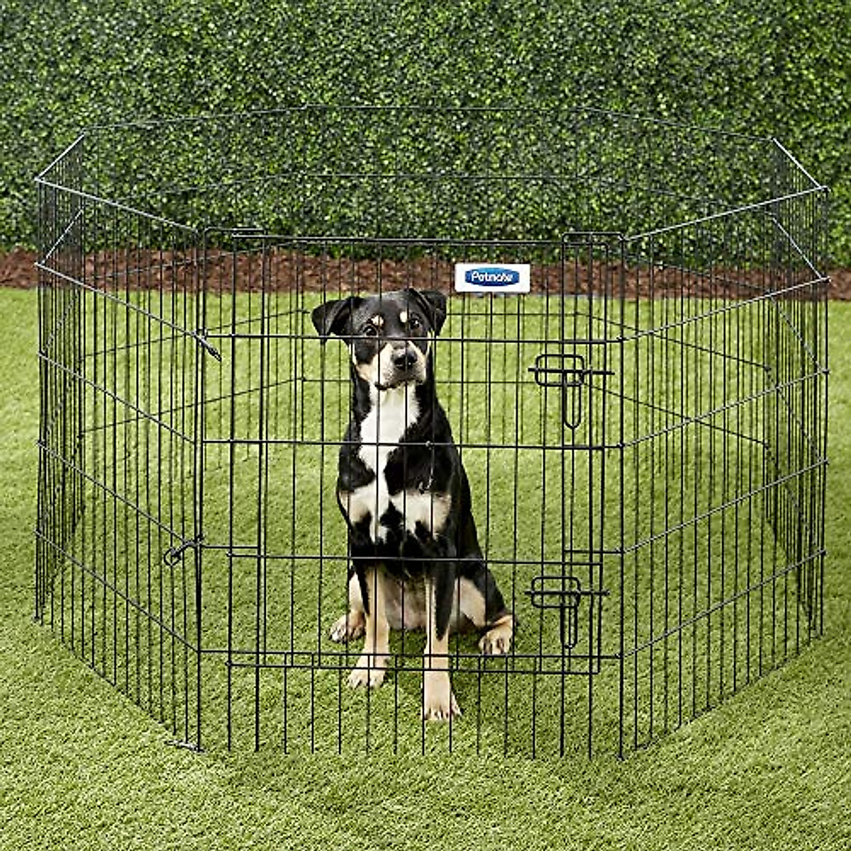 Petmate 30-Inch by 24-Inch 8-Panel Exercise Pen with Step Through Door,Black