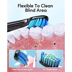 7 Pack Dnsly Electric Toothbrush Heads Compatible with FW-507/508/551/515/917/959/2011/D1/D3/D7/D8 Dnsly Toothbrush Heads, Black