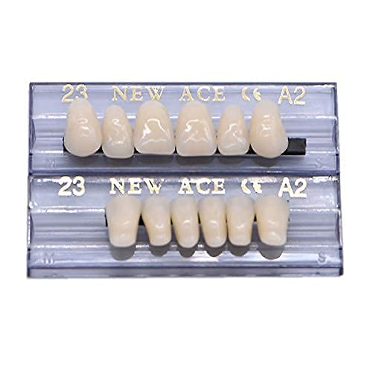 RZJZGZ 168 Pcs Dental Synthetic Resin Tooth Denture Temporary False Teeth 6 Sets False Teeth 23 A2