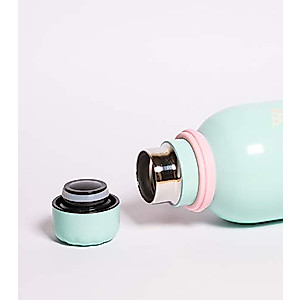 Grupo Erik Official Pusheen Water Bottle-Sports Bottle-500ml / 17OZ, Stainless Steel, Vacuum Insulated Water Bottle, Double Wall Reusable Water Bottle With Carabiner, BPA Free, Kawaii Water Bottle