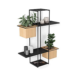 Umbra Cubist Floating Built-in Succulent Planter – Modern Wall Décor and Geometric Display Shelf for Books, Candles, Mementos, Photos, Indoor Plants and More, Multi, Black