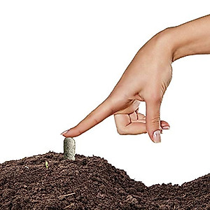 Jobe's 06328 Bone Meal Fertilizer Spikes, 50, natural