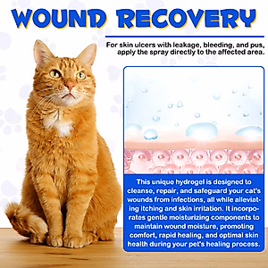 Cat Wound Care Spray - Wound Healing Aid Treatment for Cats Helps with Skin Repair for Wounds, Cats Irritated Skin & Itchy Skin Relief | Cats Supplement | Gentle Wound Care Spray - 3.38 Fl.oz / 100ml