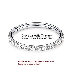 PEAKLINK Conch Piercing Jewelry G23 Titanium Cartilage Ring 16G Nose Hoop Rings with CZ Helix Earrings Seamless Hinged Segment Ring Conch Ring Cartilage Earrings 8mm Nose Hoop Jewelry Silver