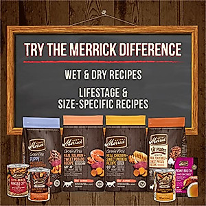 Merrick Oven Baked Dog Treats, Natural and Crunchy Bag of Treats, Pumpkin Patch with Real Pumpkin Snack - 11 oz. Bag