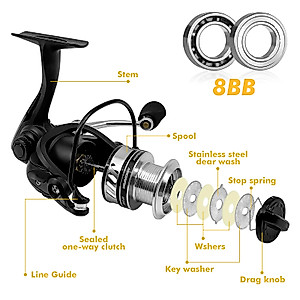 Ashconfish Spinning Reel, Saltwater Spinning Fishing Reels, Ultra Lightweight Body, 8 Stainless Steel BB, 5.0:1 Gear Ratio, Max 17.6lbs Drag, Come with 100m Braided Line